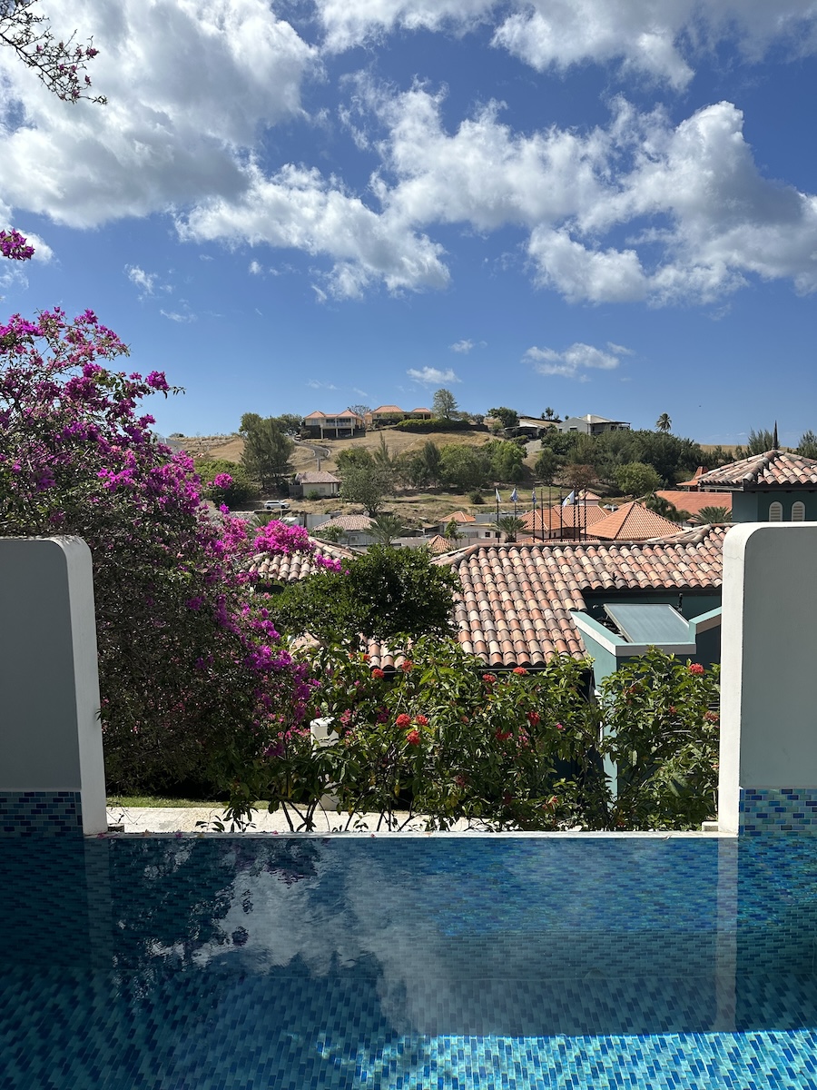 The South Seas One Bedroom Butler Villa with Infinity Edge Pool at ...